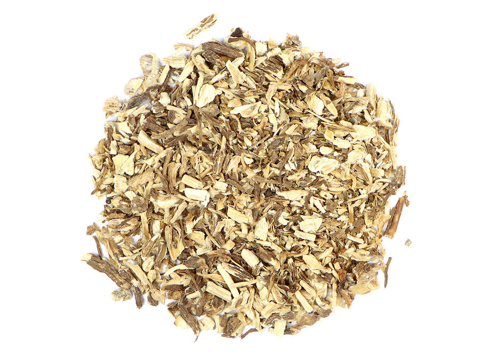 Angelica Root (Angelica archangelica) – Aelfen-Apothecary